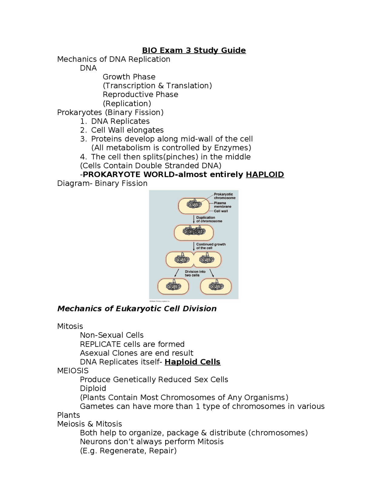 Exam 3 Study Guide - Principles of Biology | BIOL 1105 | Study notes ...