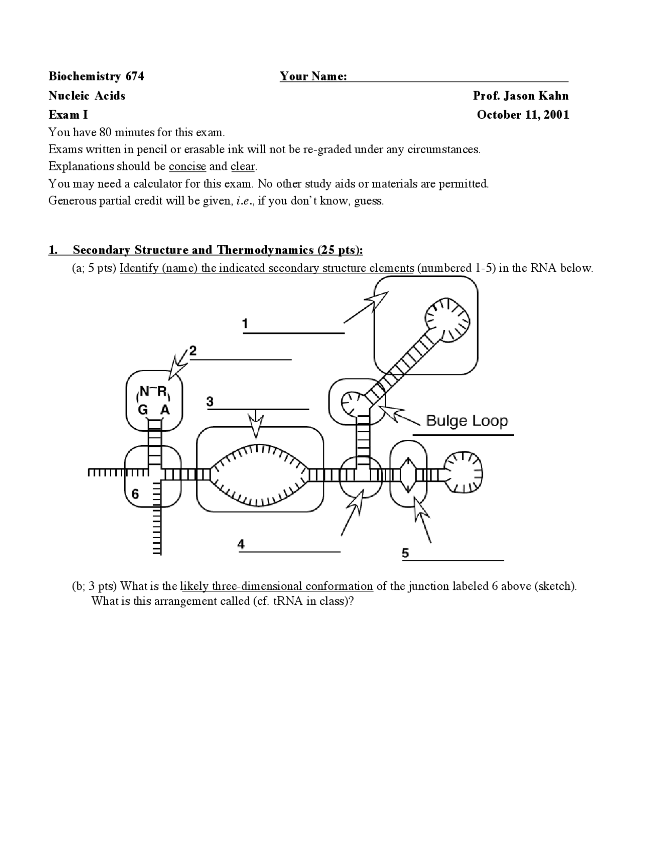 Practice Exam 1 Questions Nucleic Acids Bchm 674 Docsity