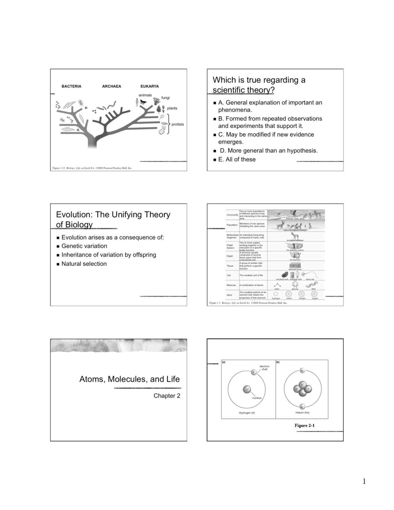 Notes On Evolution The Unifying Theory Of Biology Bc 4064 Docsity