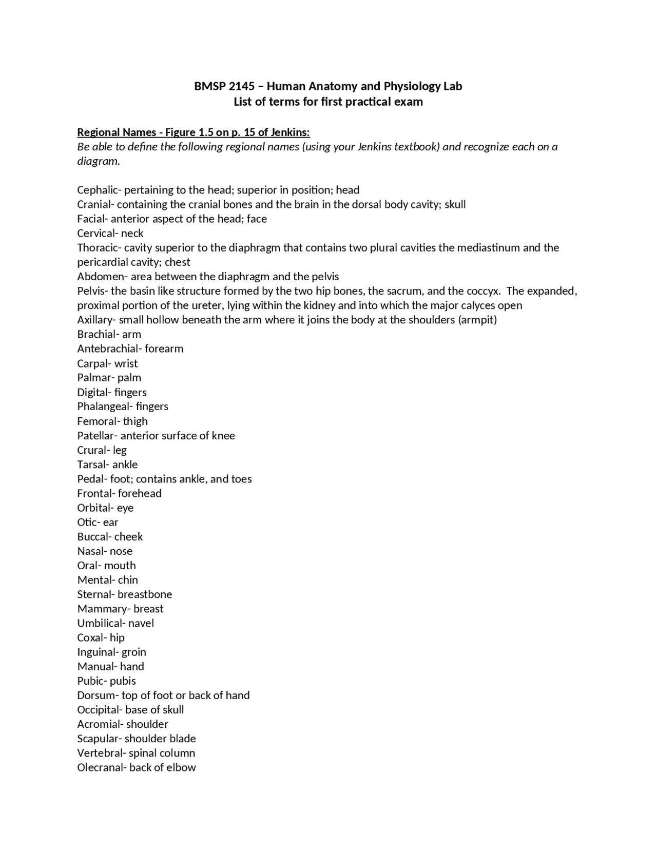 List of terms for practical exam. Fundamental glossary | BMSP 2145 ...