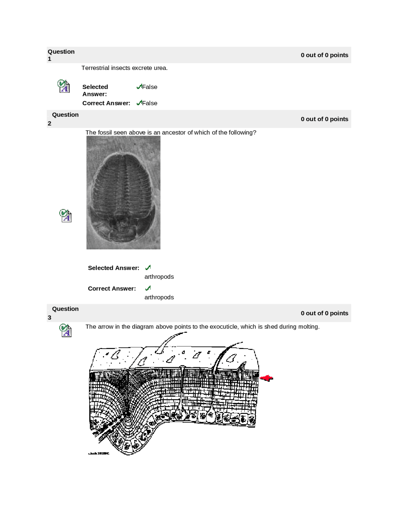 Arthropods Quiz With Answers Insects And Human Society Ent 2004