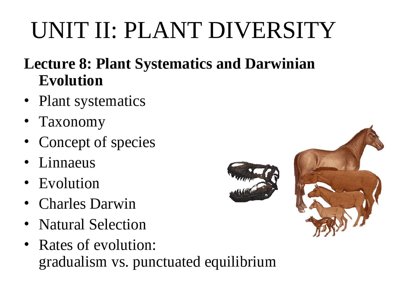 Plant Systematics and Darwinian Evolution - Powerpoint Slides | AGEC I ...