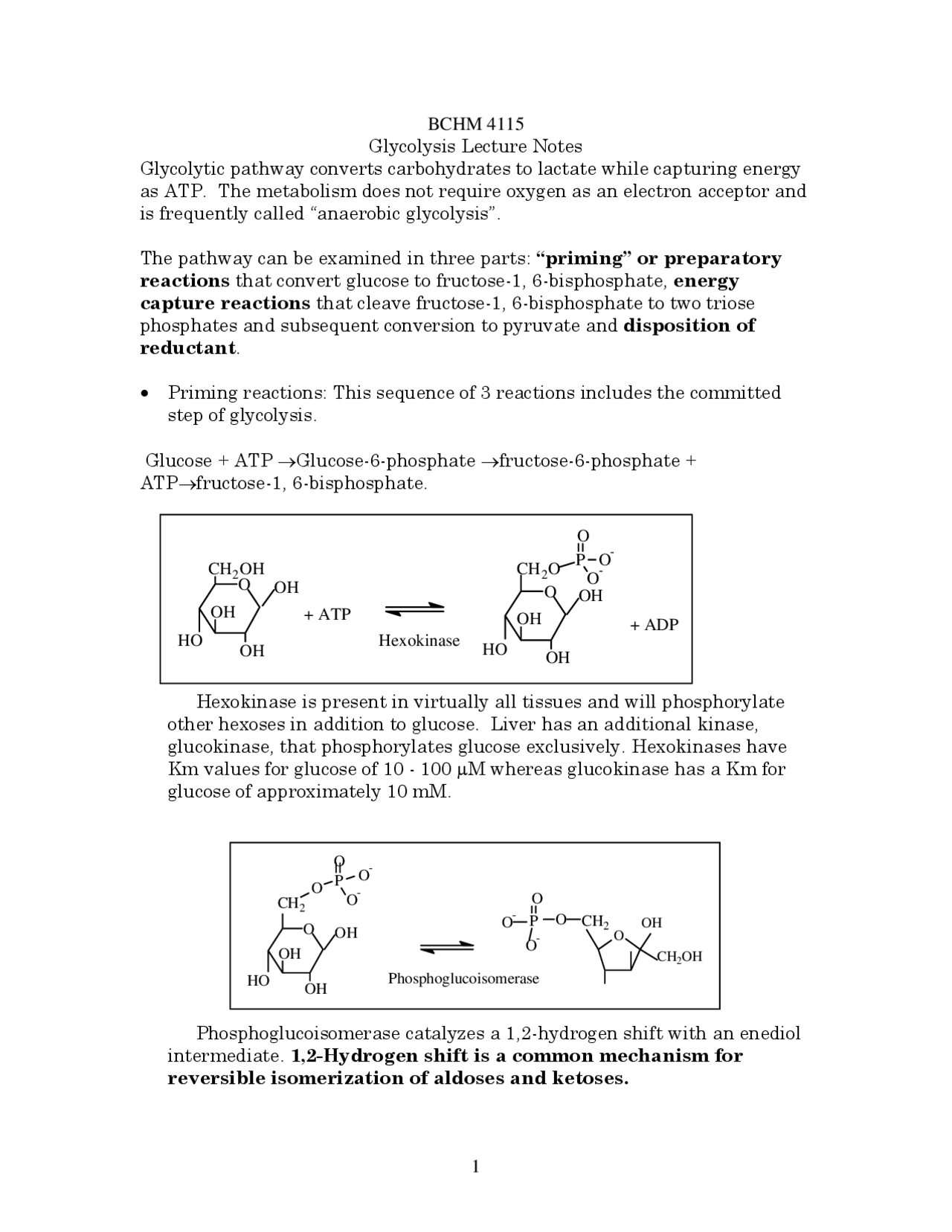 Notes On Glycolysis General Biochemistry Bchm 4115 Docsity