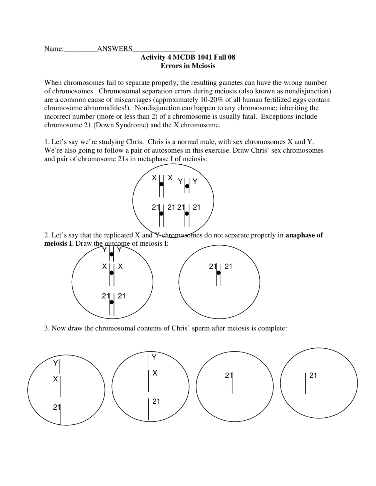 Assignment 4 Class Notes Error In Meiosis Fundamentals Of Human