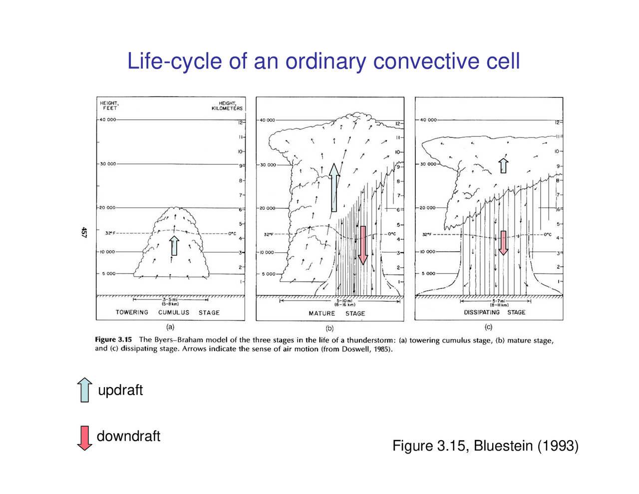 Life-Cycle of an Ordinary Convective Cell - Lecture Slides | ATMO 352 ...