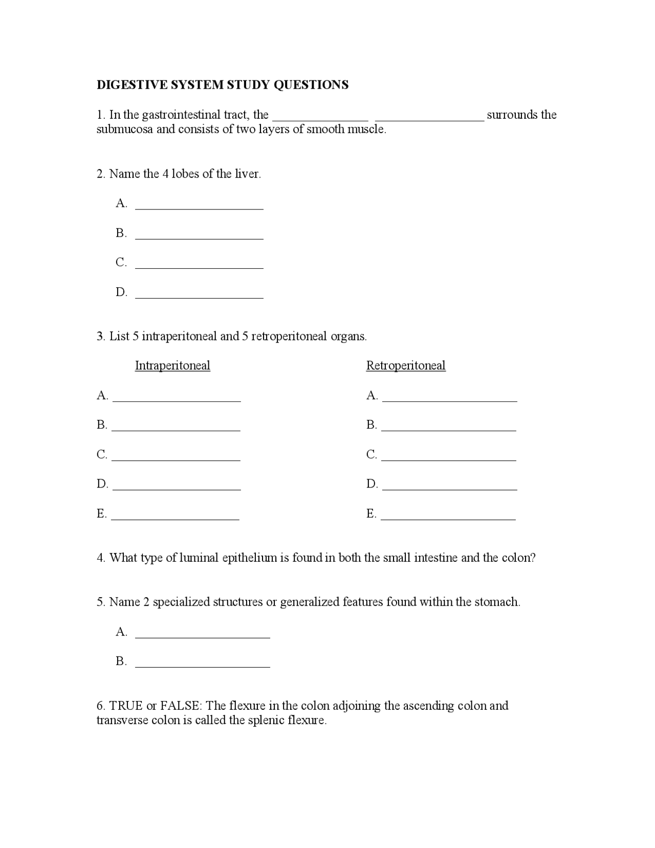 Digestive System Study Questions: Answers and Additional Information ...