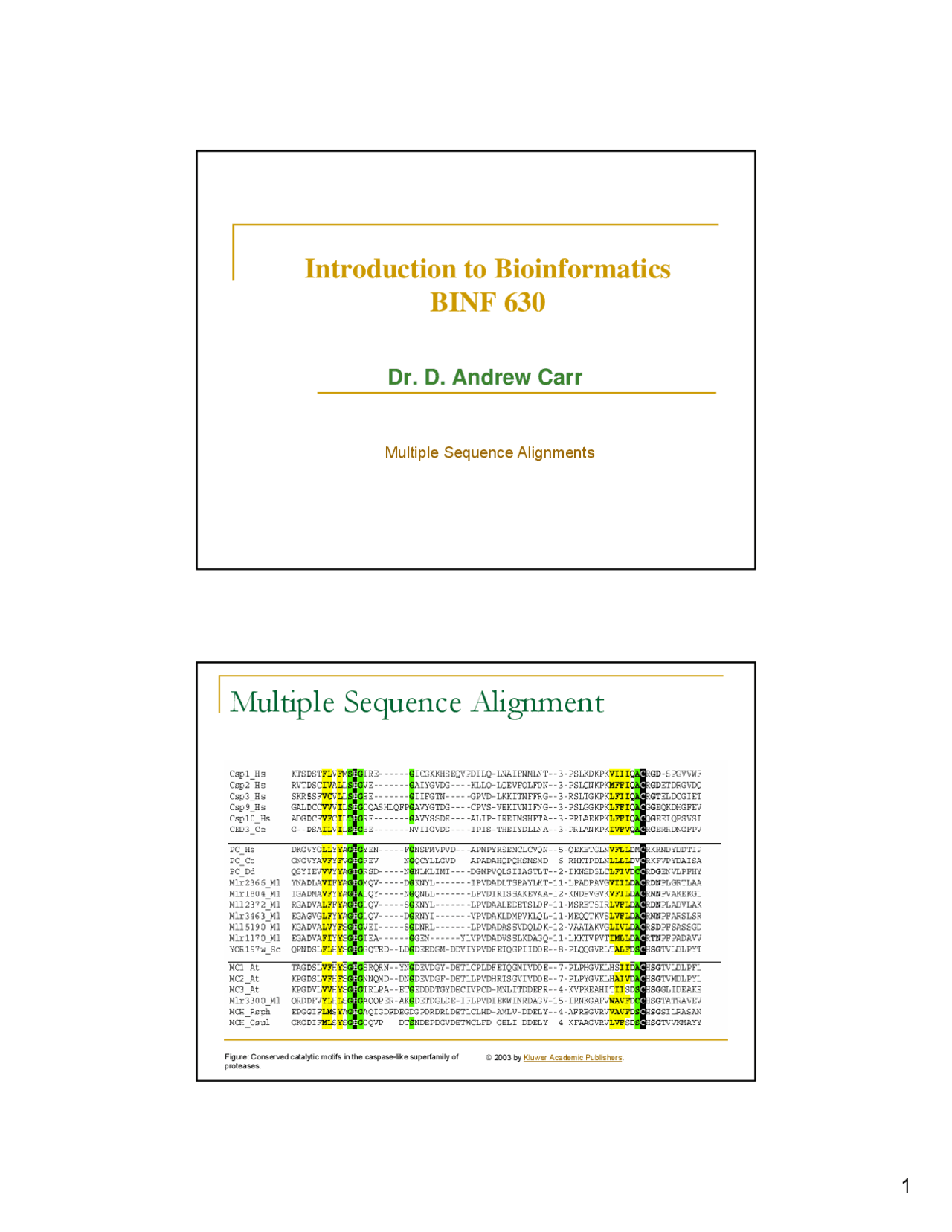 Multiple Sequence Alignment Lecture Slides Binf 630 Docsity