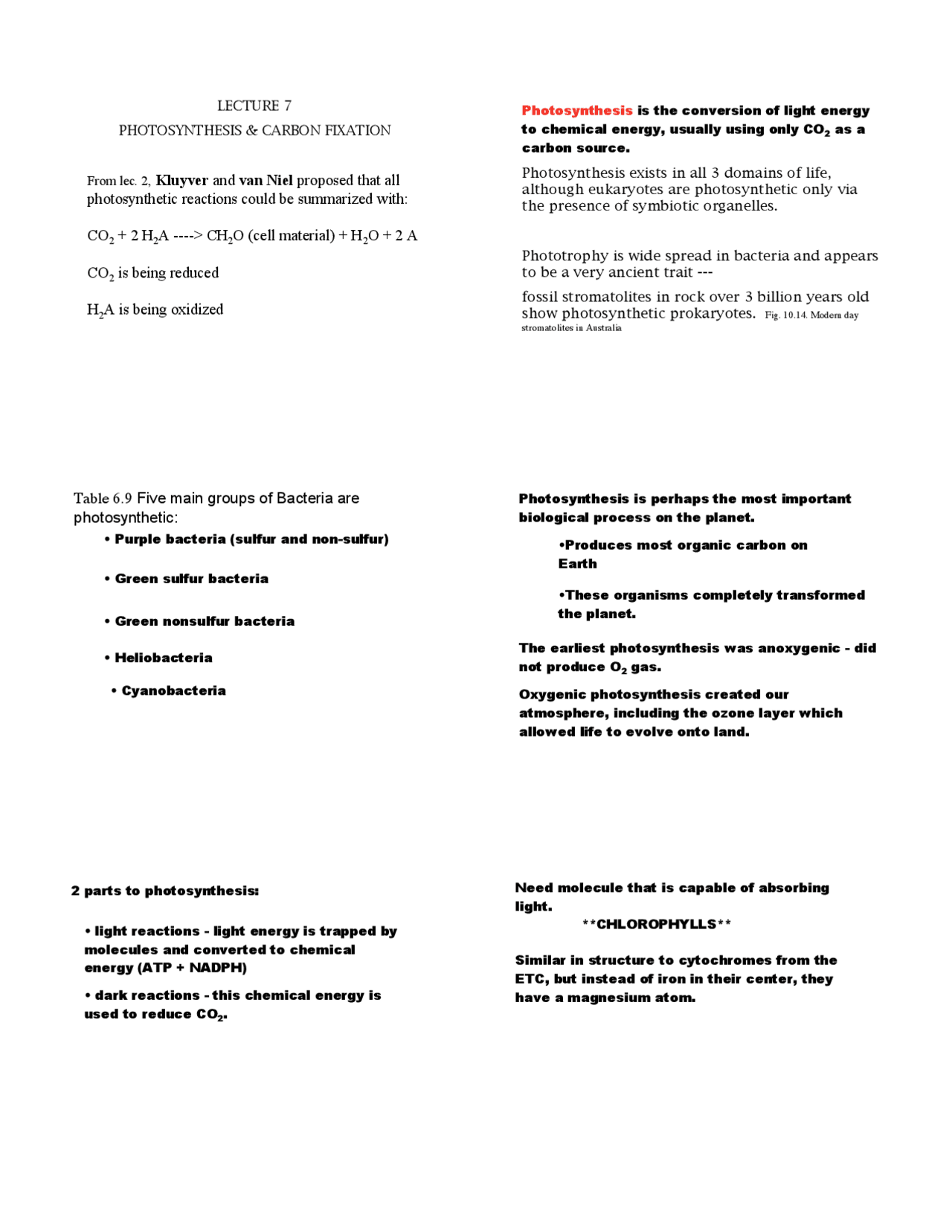 Photosynthesis And Carbon Fixation Lecture Slides Ebio 3400 Docsity