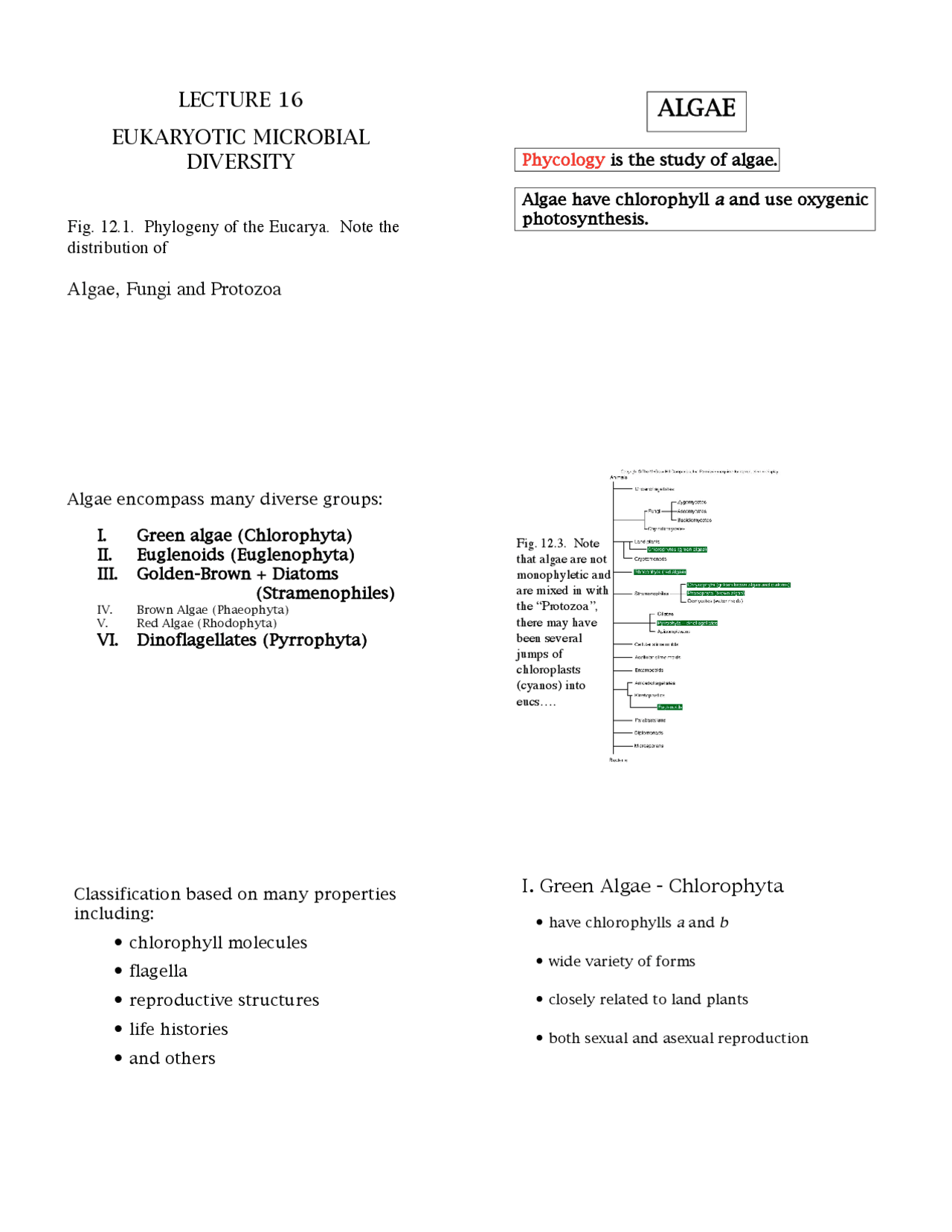 Eukaryotic Microbial Diversity Lecture Slides Ebio 3400 Docsity