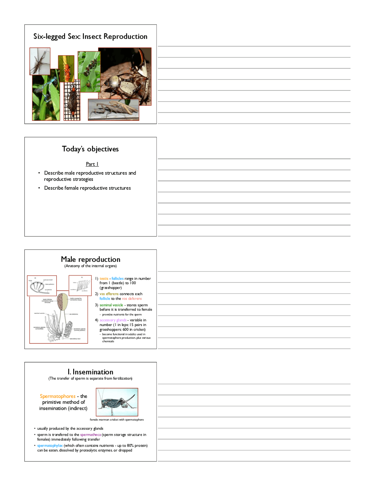 Insect Reproduction Insect Physiology Lecture Slides Ento 306