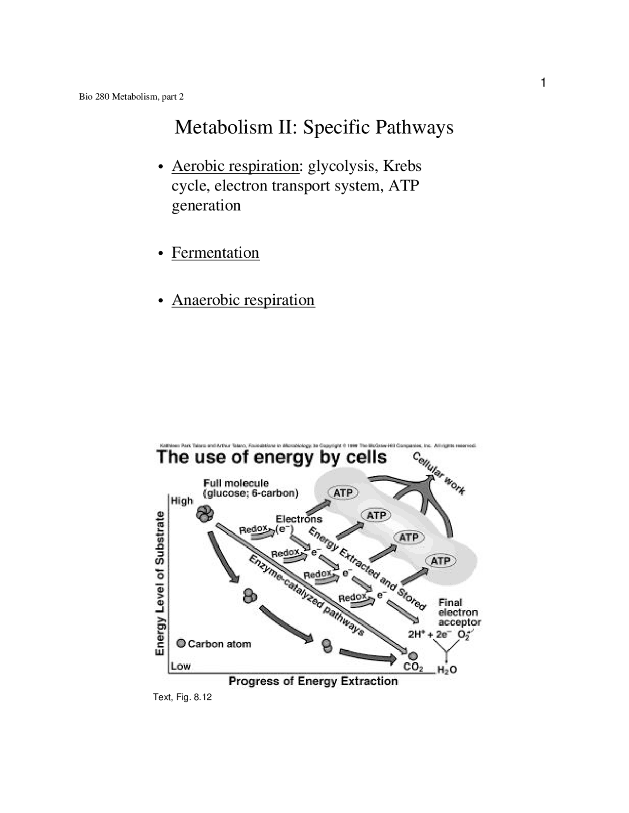Notes On Metabolism Ll Specific Pathway Bio 280 Docsity