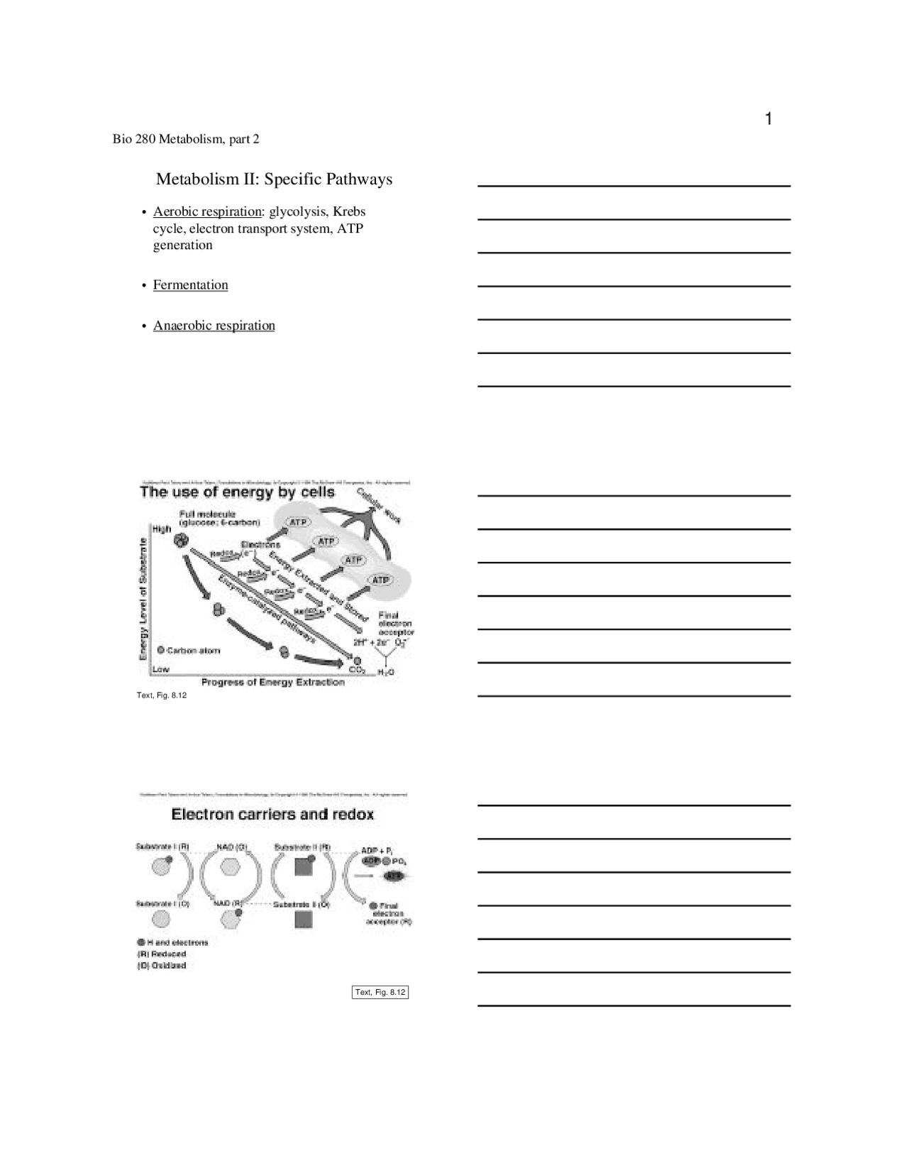 Metabolism Ii Specific Pathways Lecture Slides Bio 280 Docsity
