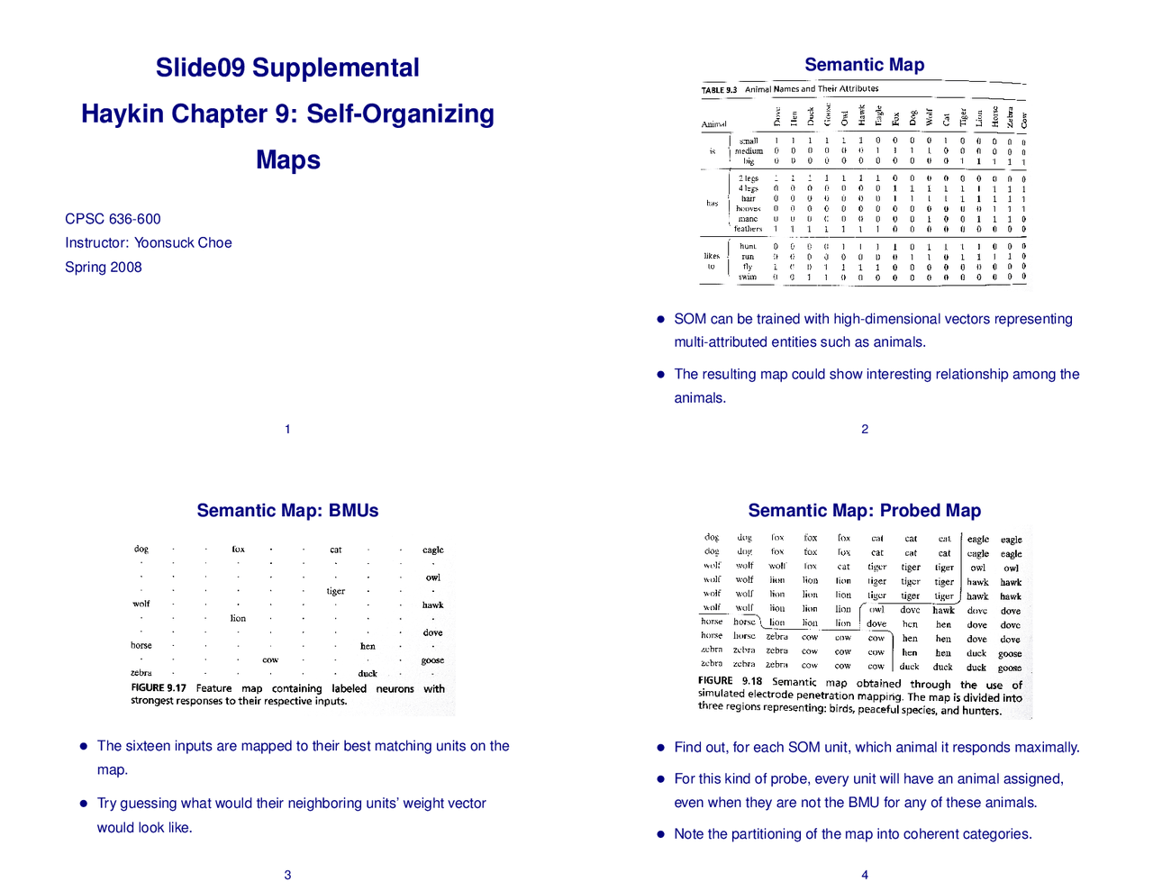Semantic Map | Self Organization Maps | CPSC 636 - Docsity