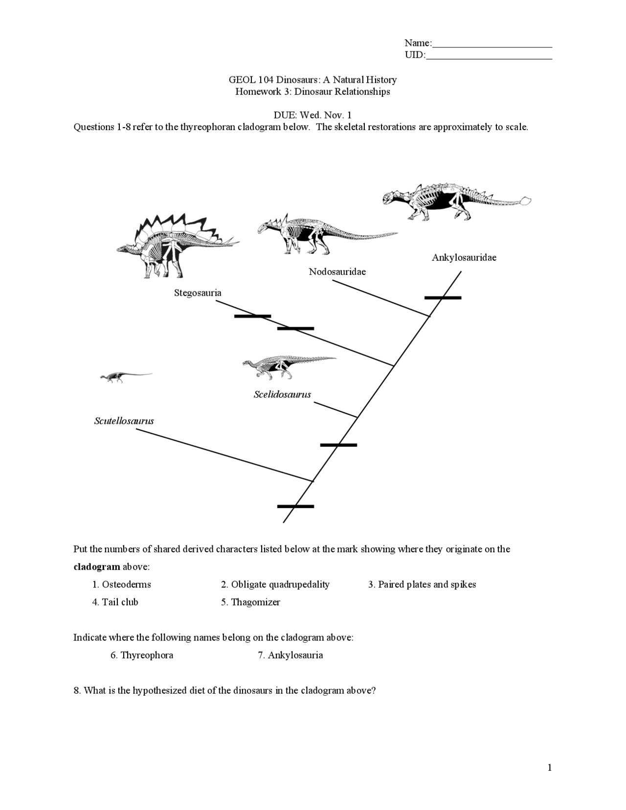Dinosaurs Relationships Assignment 3 Geol 104 Docsity