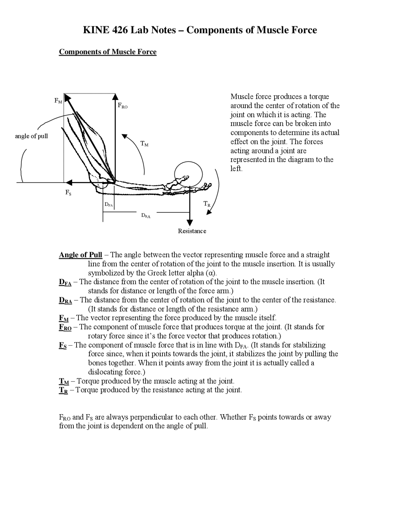 Components of Muscle Force in Laboratory | KINE 426 | Lab Reports ...