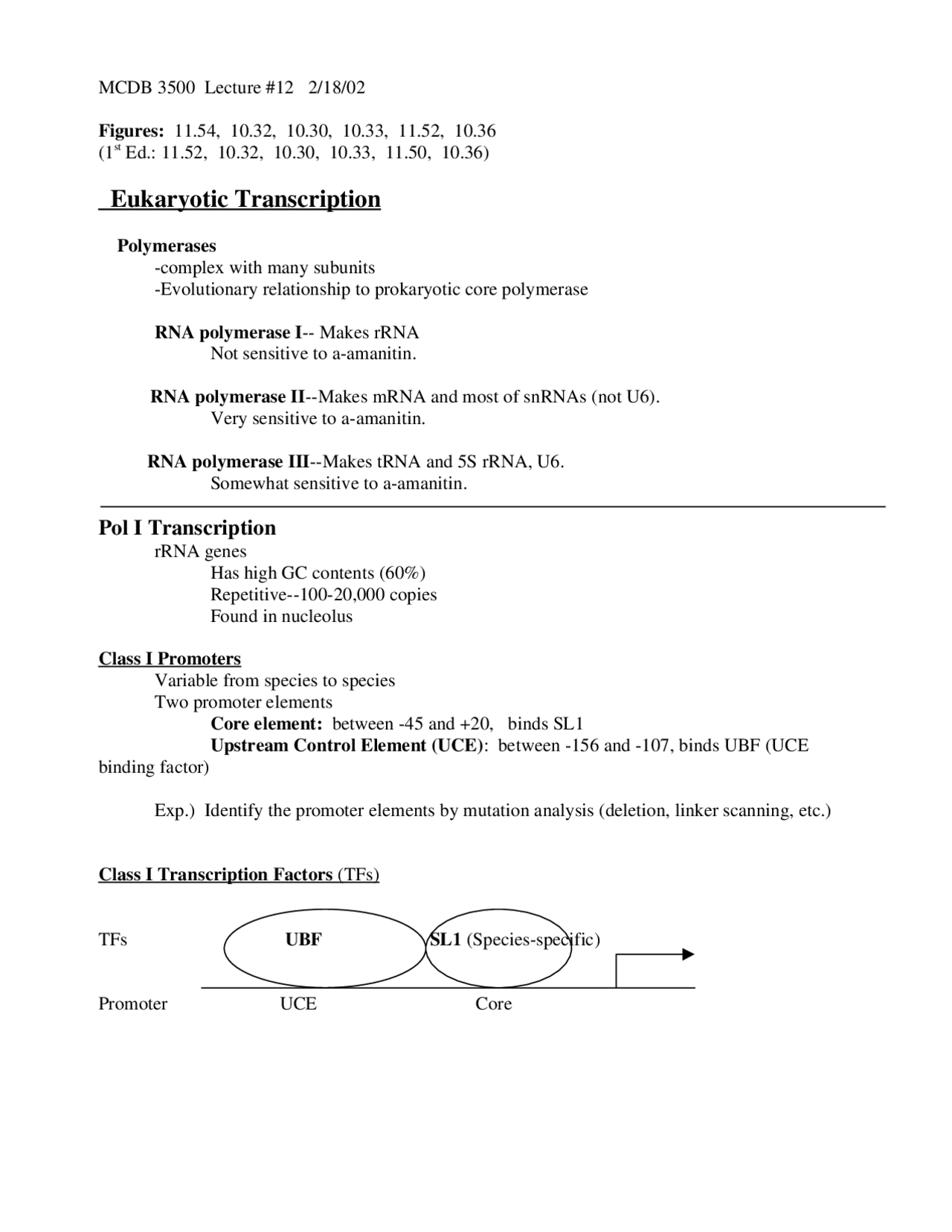Eukaryotic Transcription Lecture Notes Mcdb 3500 Docsity