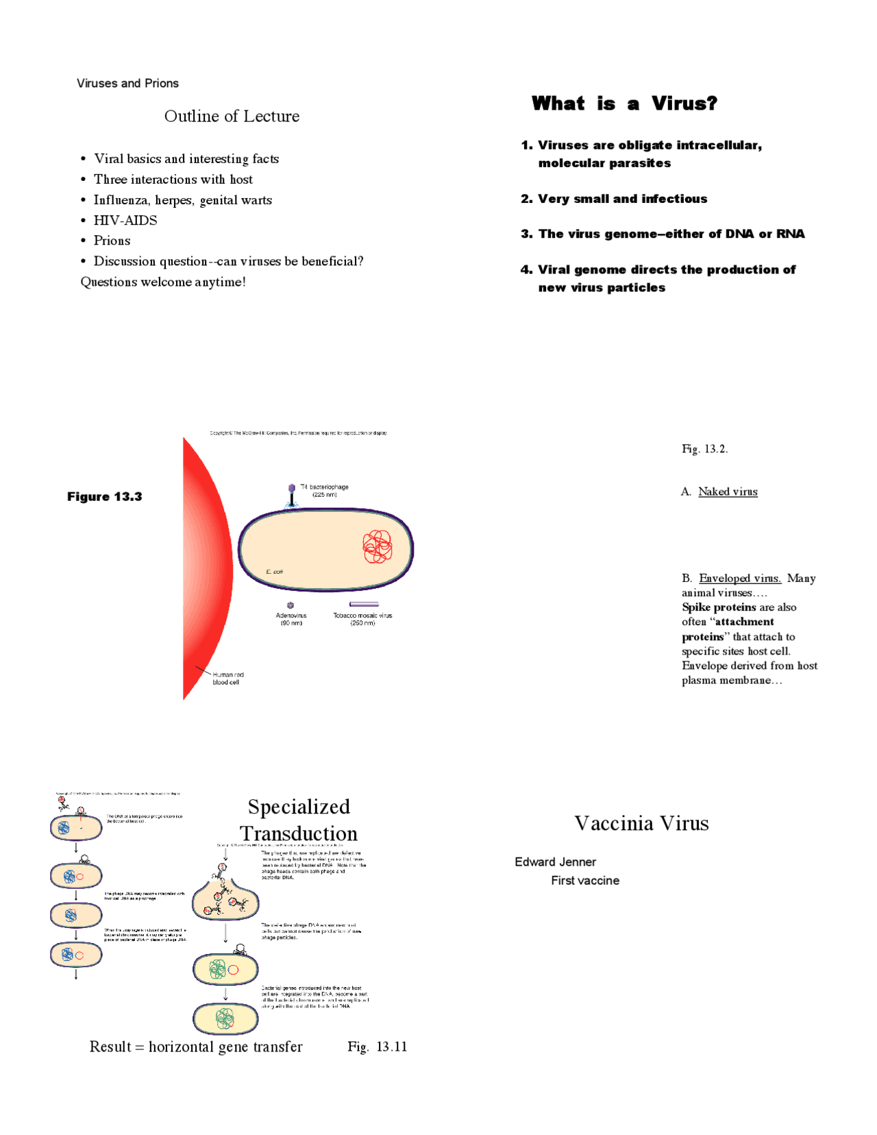 What Is Virus Lecture Slides Ebio 3400 Docsity