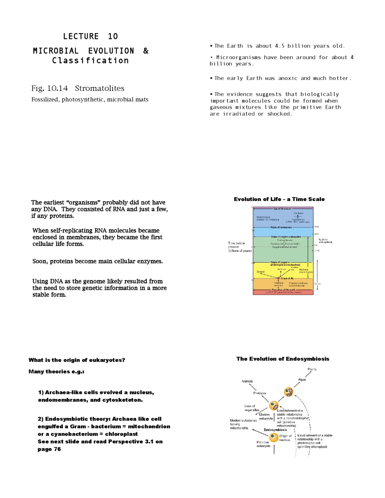 Microbial Evolution And Classification Slides Ebio 3400 Docsity