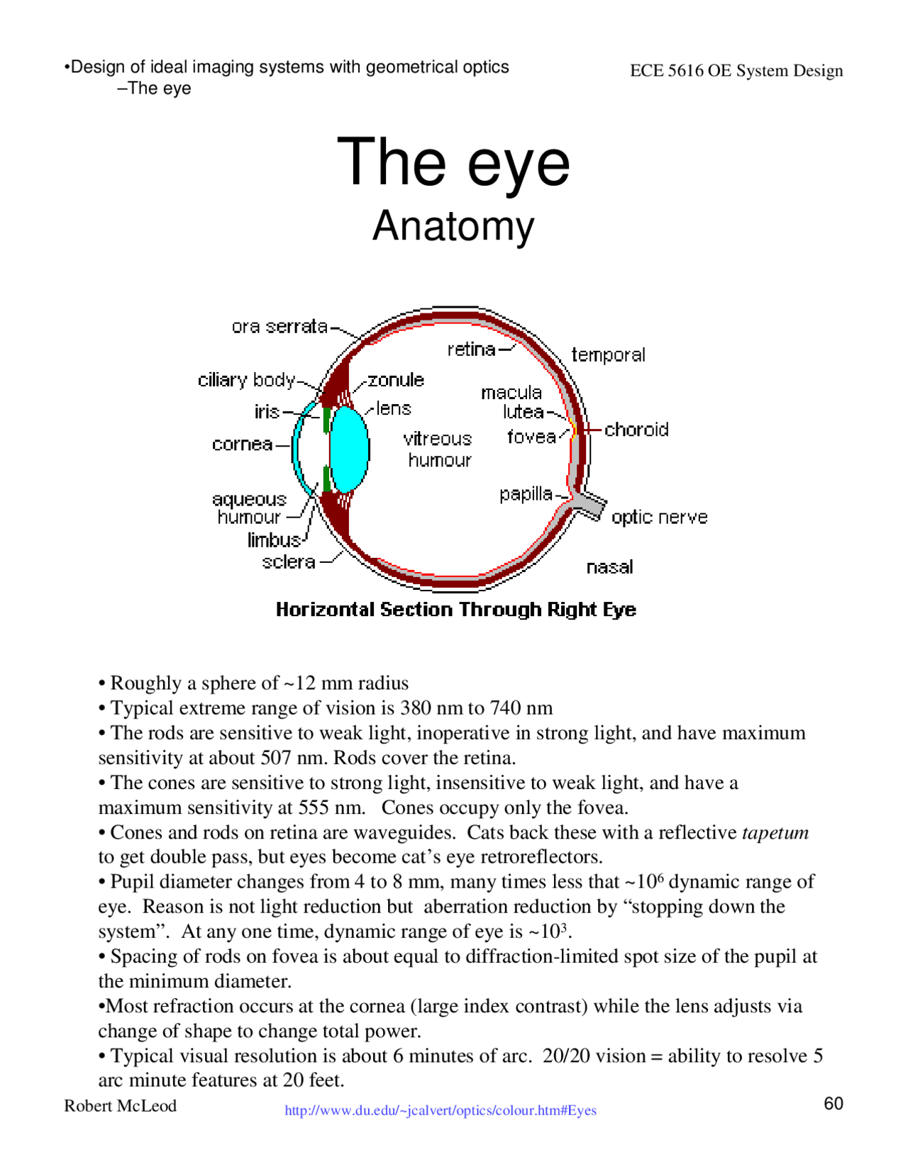 The Eye Anatomy Optoelectronic System Design Lecture Slides Ecen 5616 Docsity