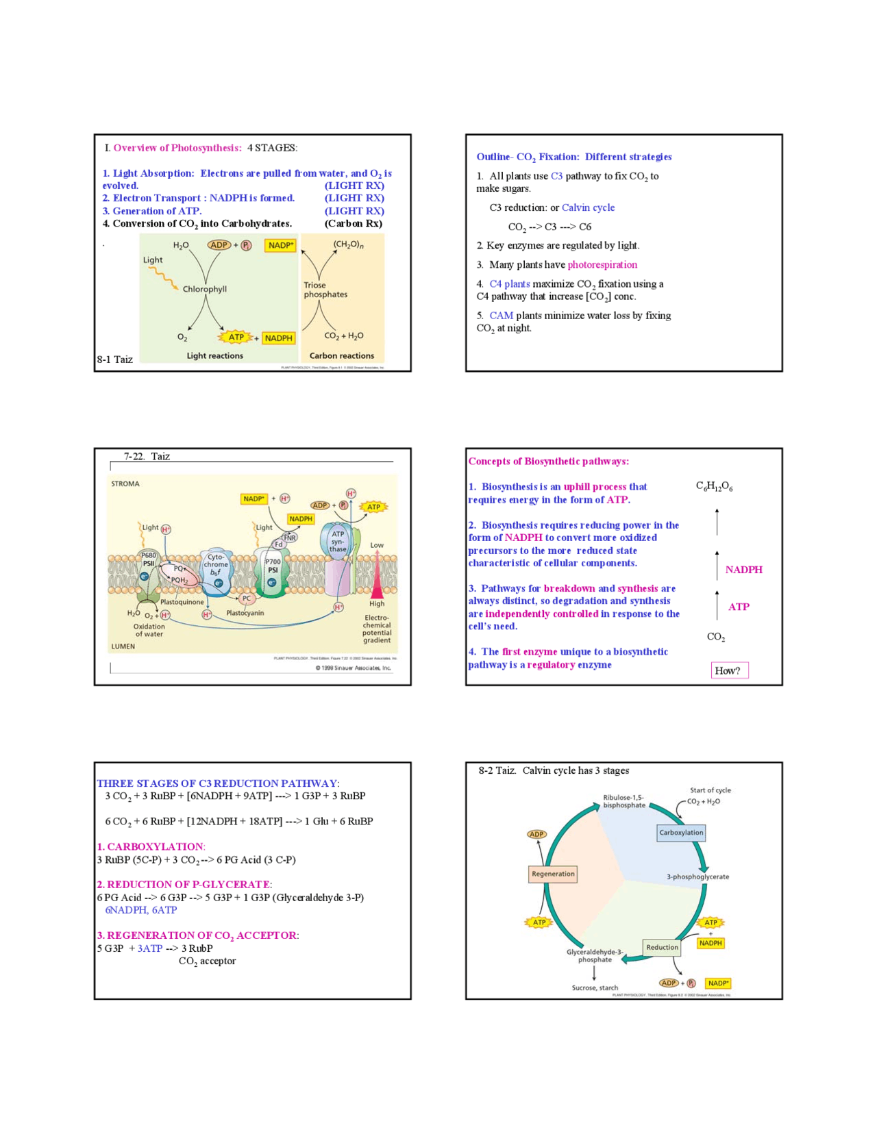 An Overview Of Photosynthesis In Plant Physiology Lecture Slides
