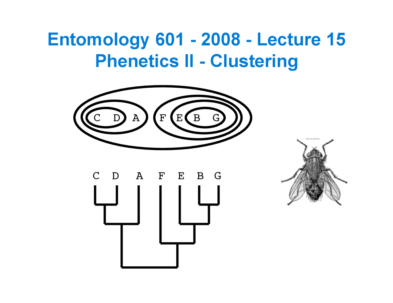 Phenetics Ii Clustering Principles Of Systematic Entomology Ento