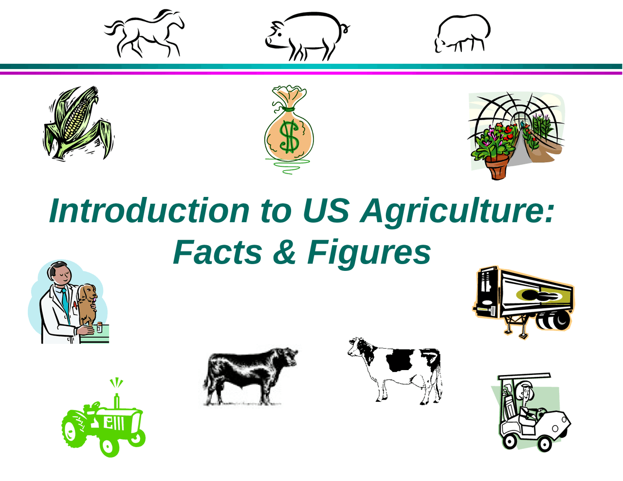 Introduction to US Agriculture: Facts and Figures - Megatrends | AAEC ...