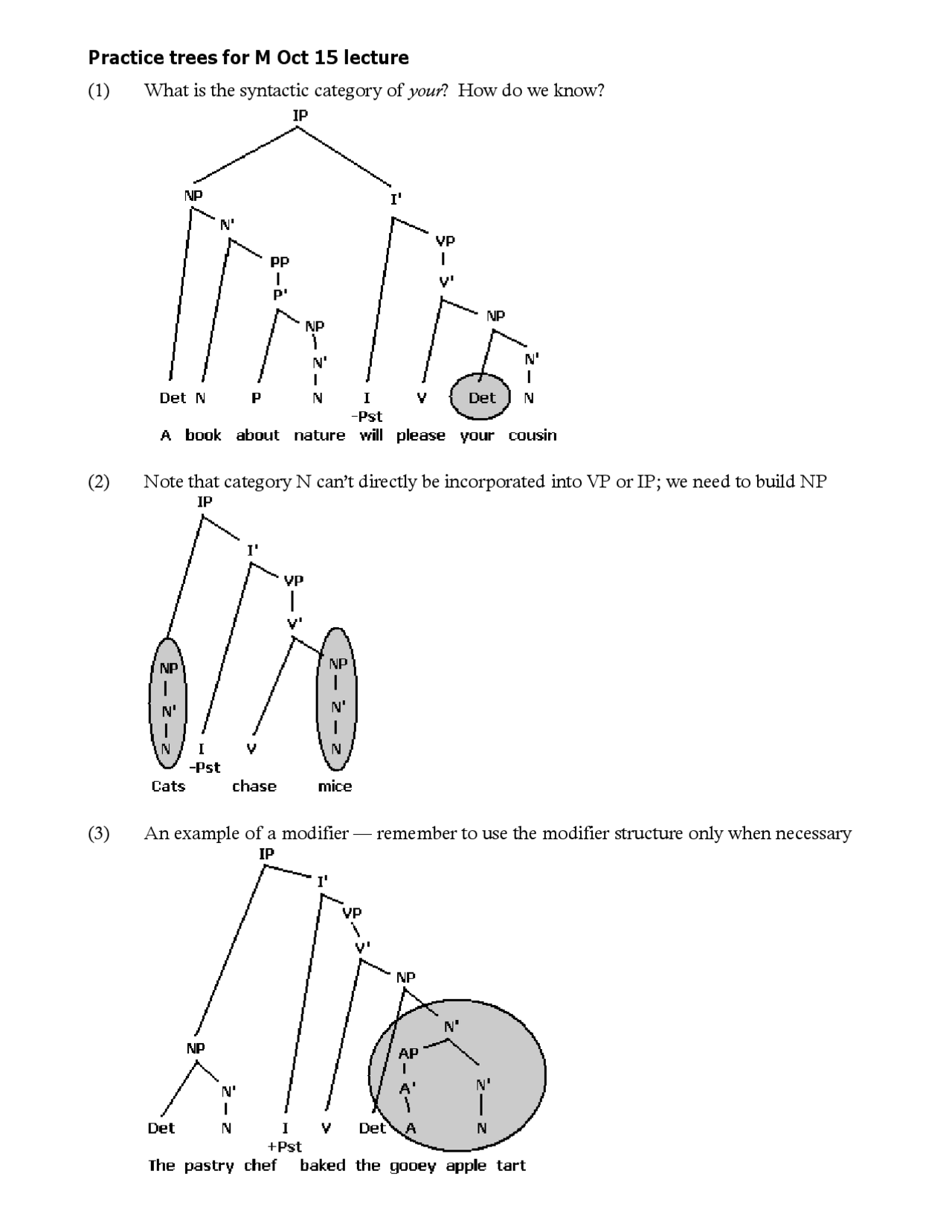 Lecture Notes On Practice Trees For M Introduction To Language Ling