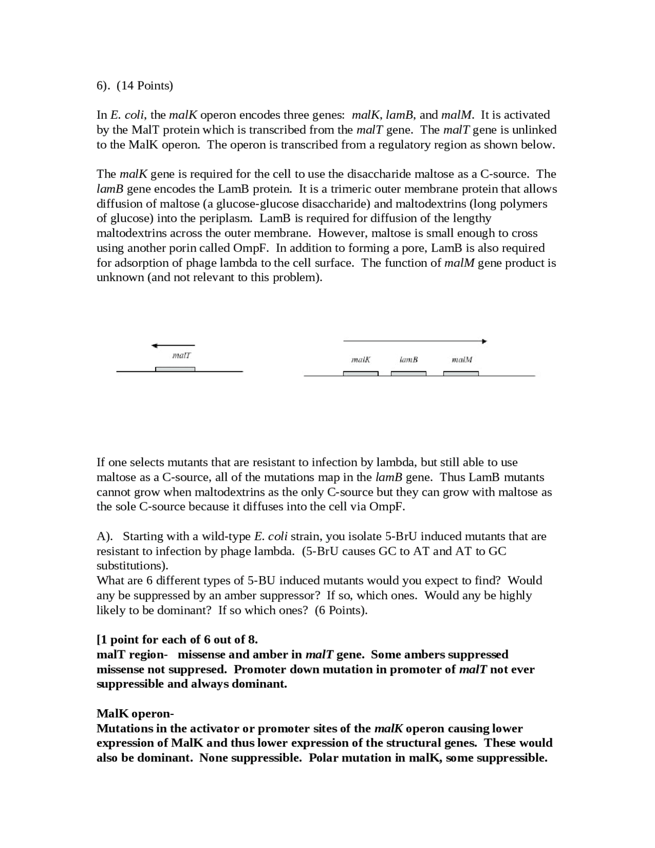 Solved Questions On Microbial Genetics Exam 1 Mcb 421 Docsity