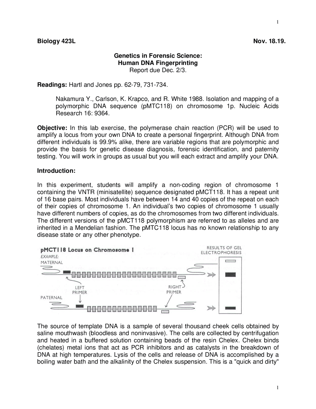 Genetics in Forensic Science: Human DNA Fingerprinting | BIOL 423L ...
