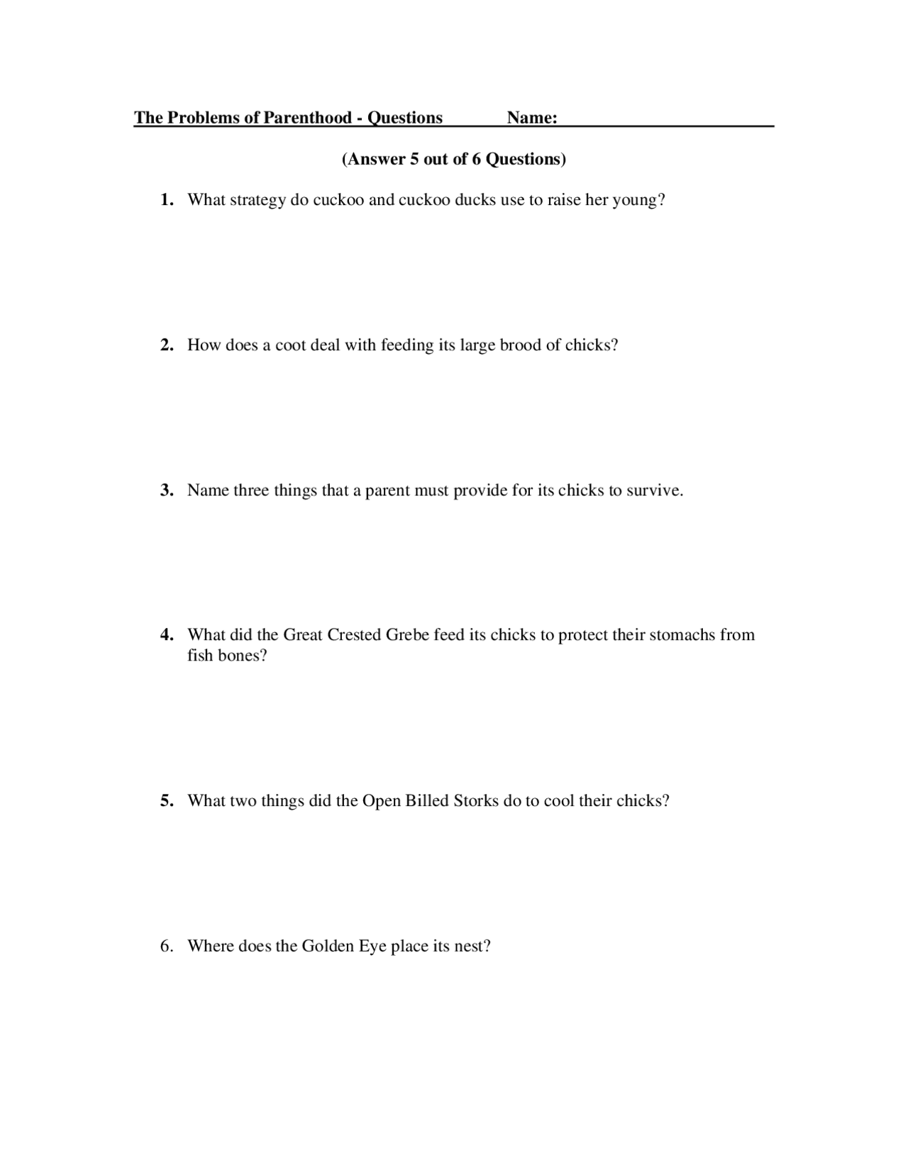 The Problems of Parenthood: Strategies and Challenges of Various Bird ...
