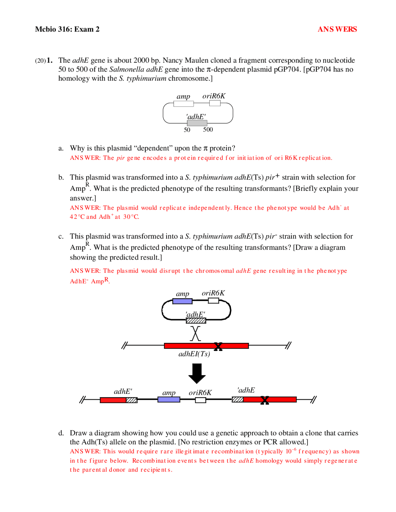 Exam 2 Questions With Solutions Microbial Genetics Mcb 421 Docsity