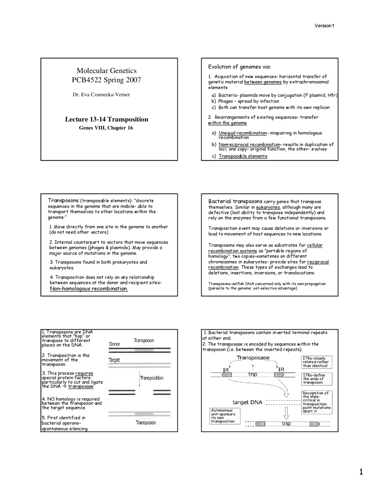 Transposition Molecular Genetics Lecture Slides Pcb 4522 Docsity