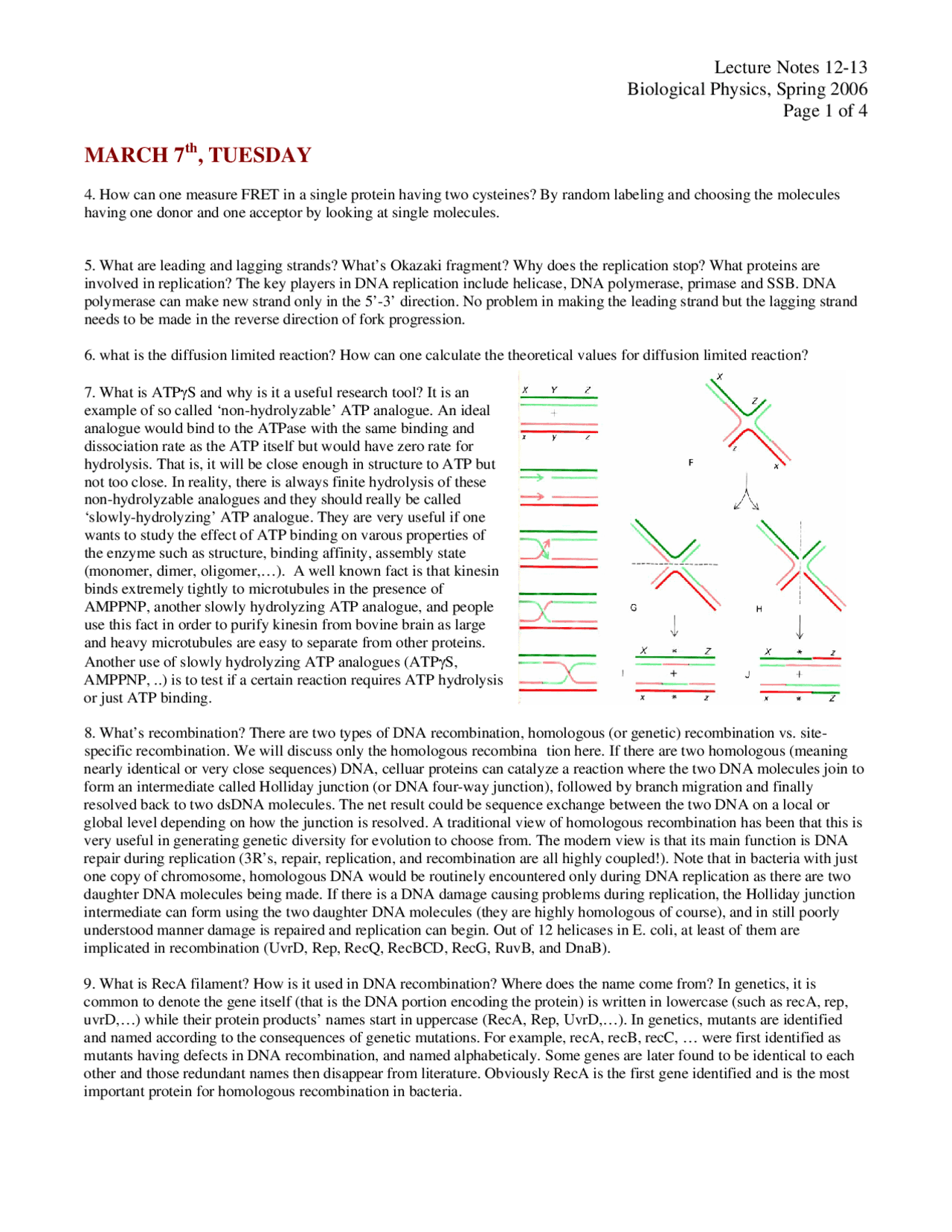 Biological Physics Dna Replication Membrane Biophysics Notes