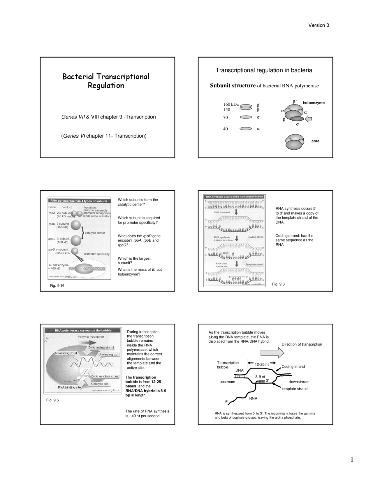 Bacterial Transcriptional Regulation Lecture Slides Pcb 4522 Docsity