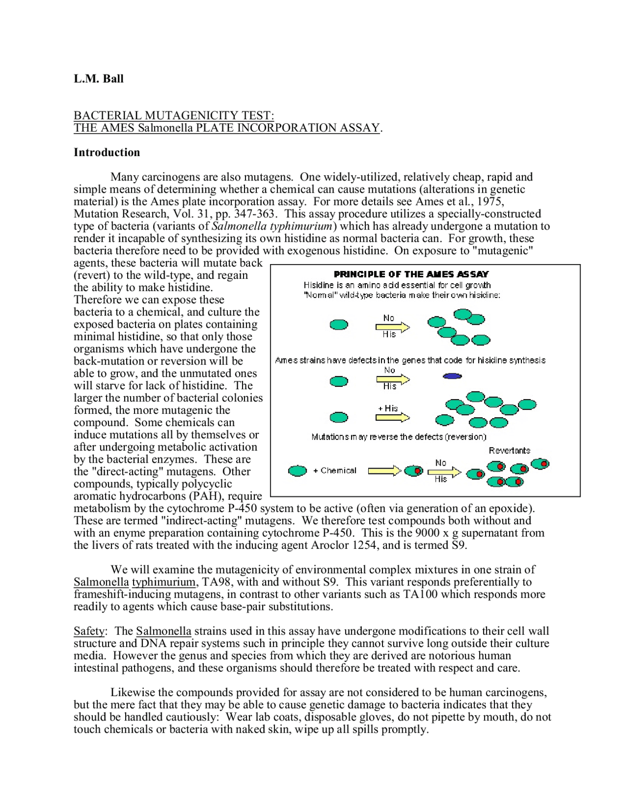 Bacterial Mutagenicity Test: The Ames Salmonella Plate Incorporation ...