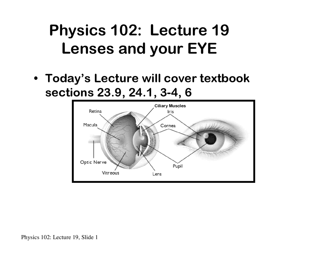 Lenses And Your Eyes Lecture Notes Phys 102 Docsity