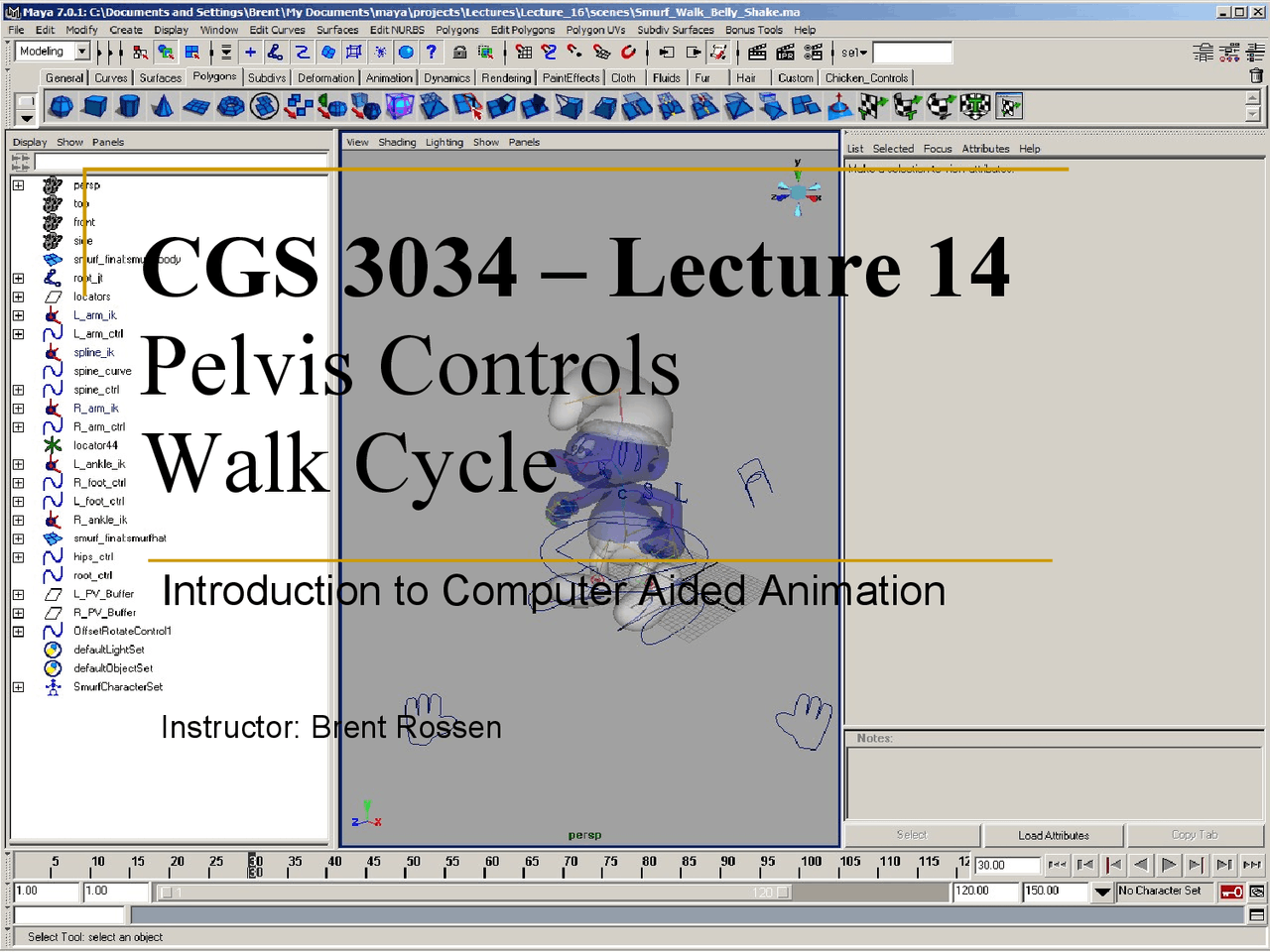 Lecture Slides On Pelvis Controls Walk Cycle Cgs 3034 Docsity