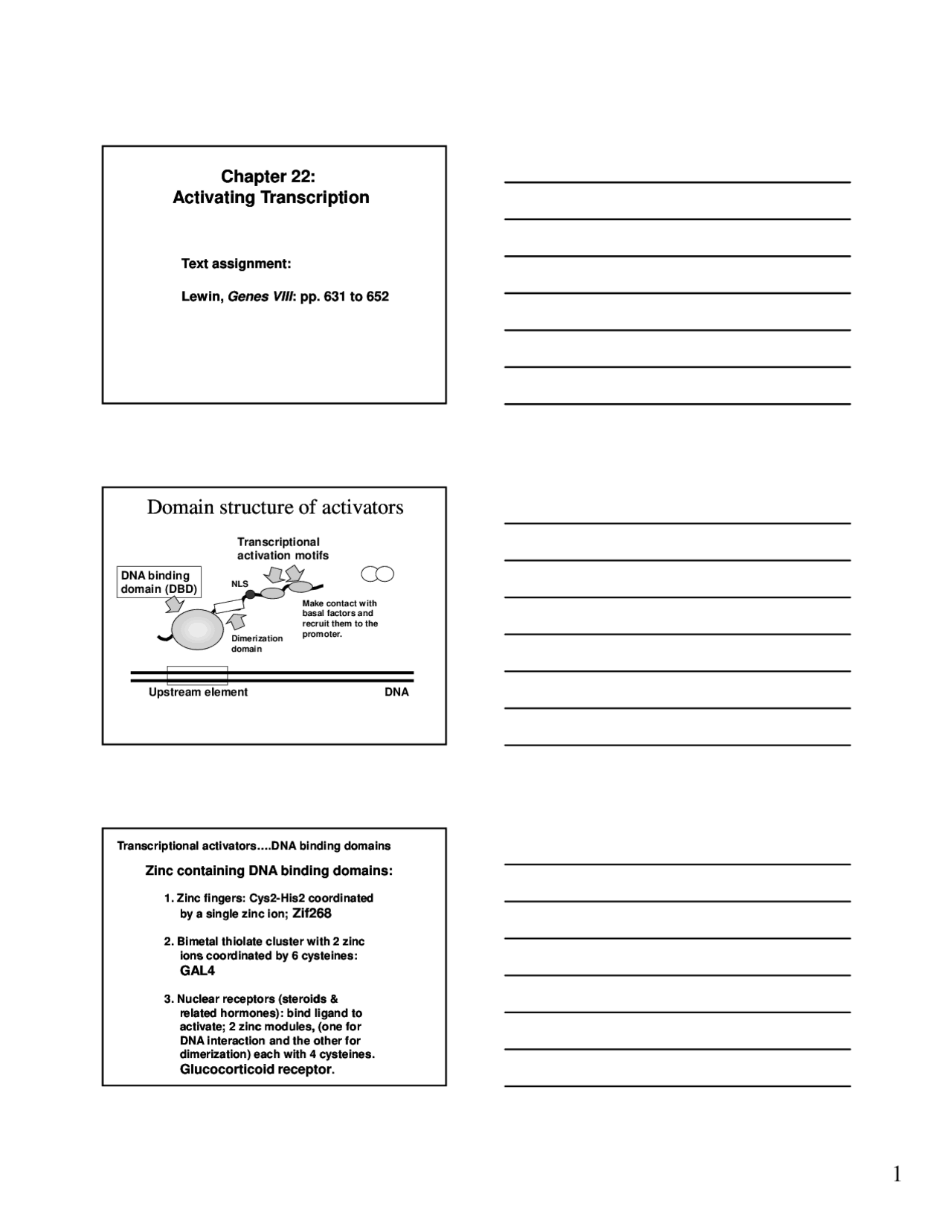 Activating Transcription Lecture Slides Pcb 4522 Docsity