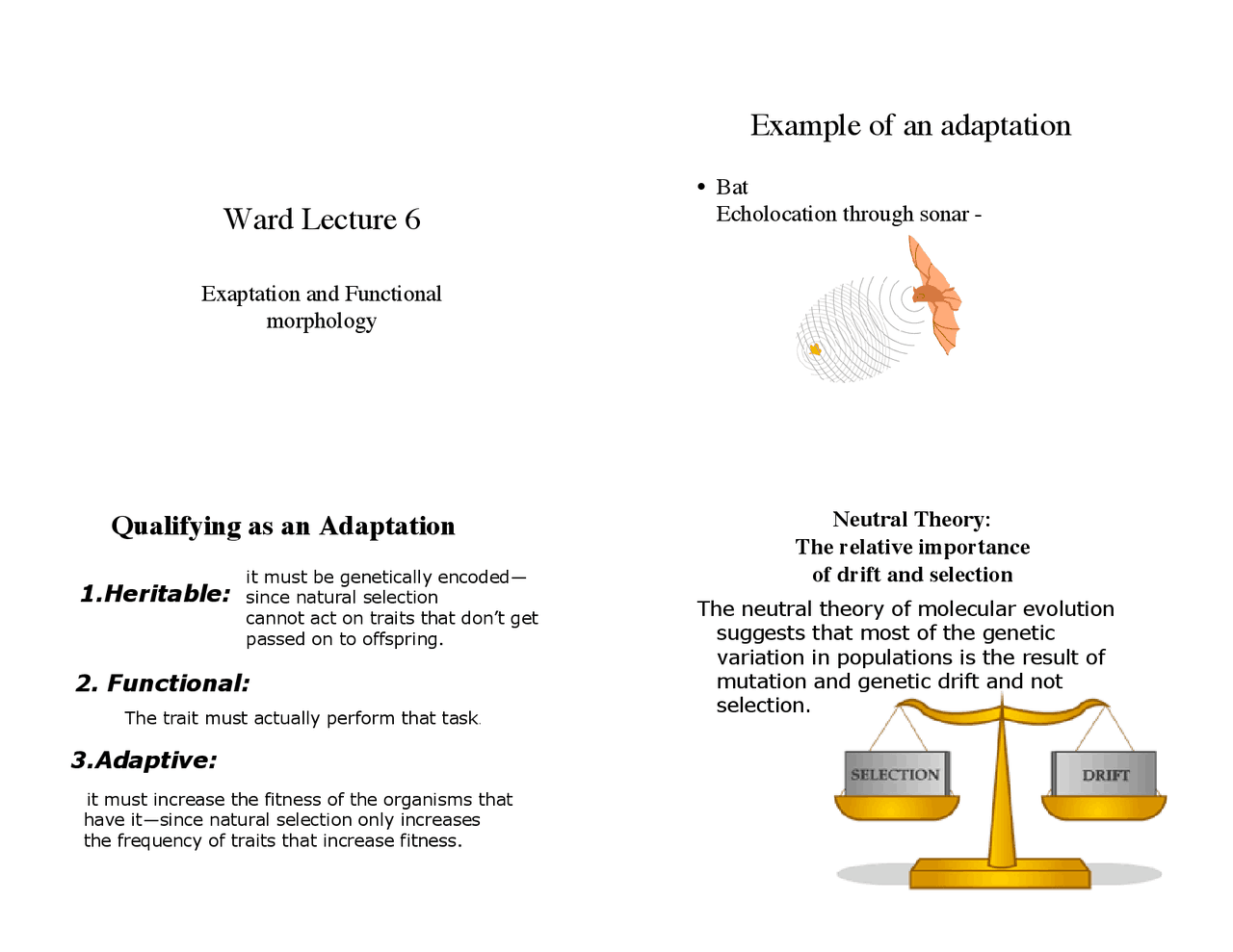 Exaptation And Functional Morphology Lecture Slides Biol 354 Docsity