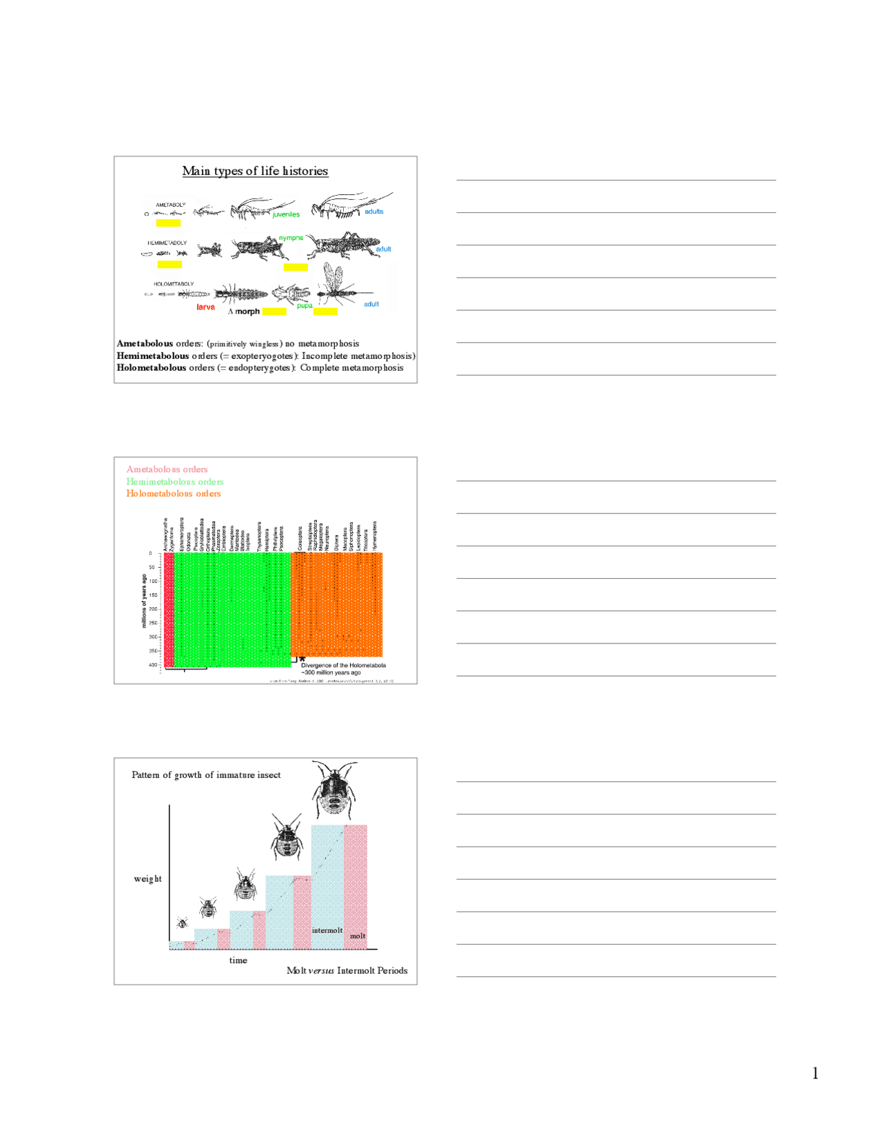 Lecture Slides On Main Types Of Histories Entomology Biol 454 Docsity