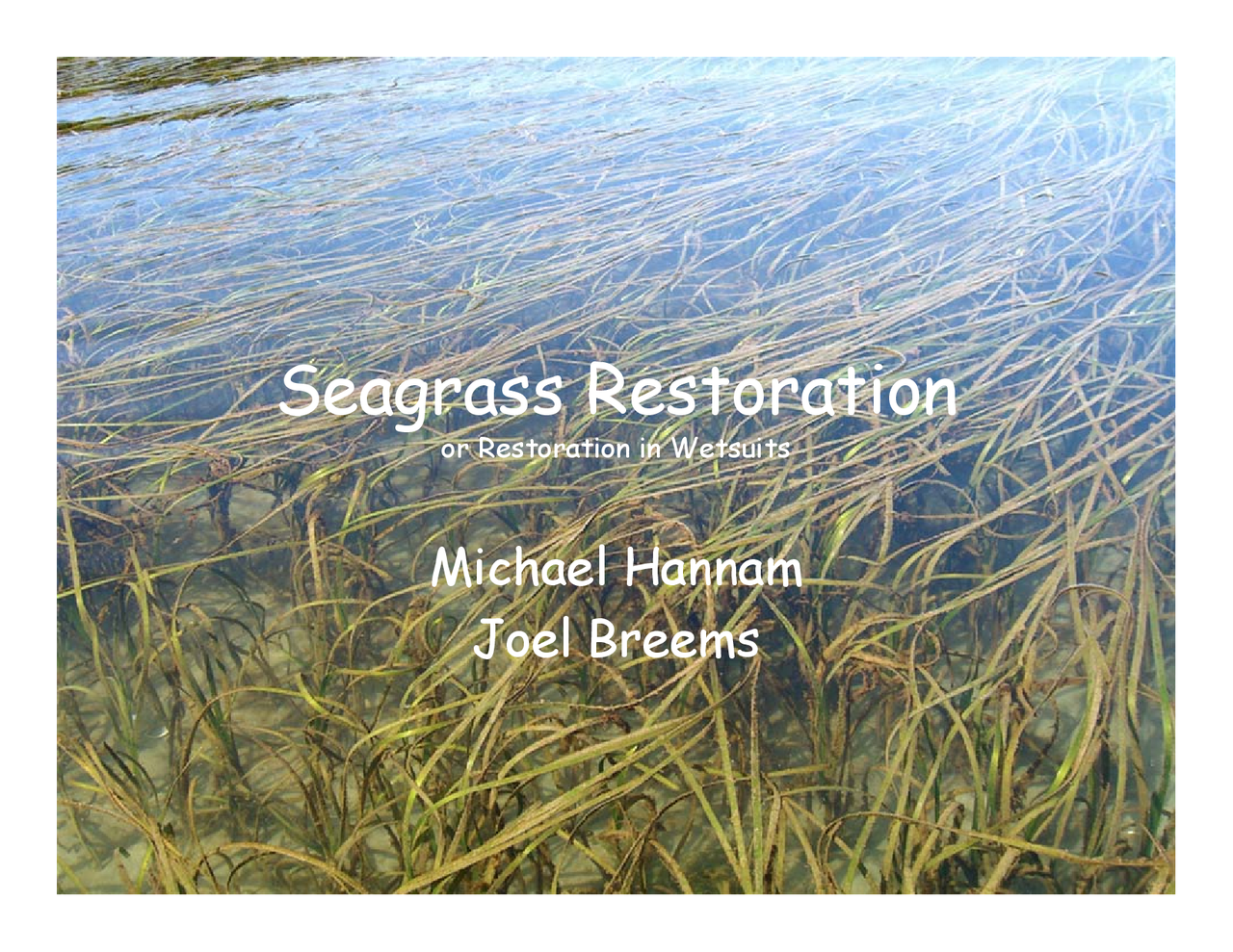 Seagrass Restoration Lecture Slides Esrm 479 Docsity