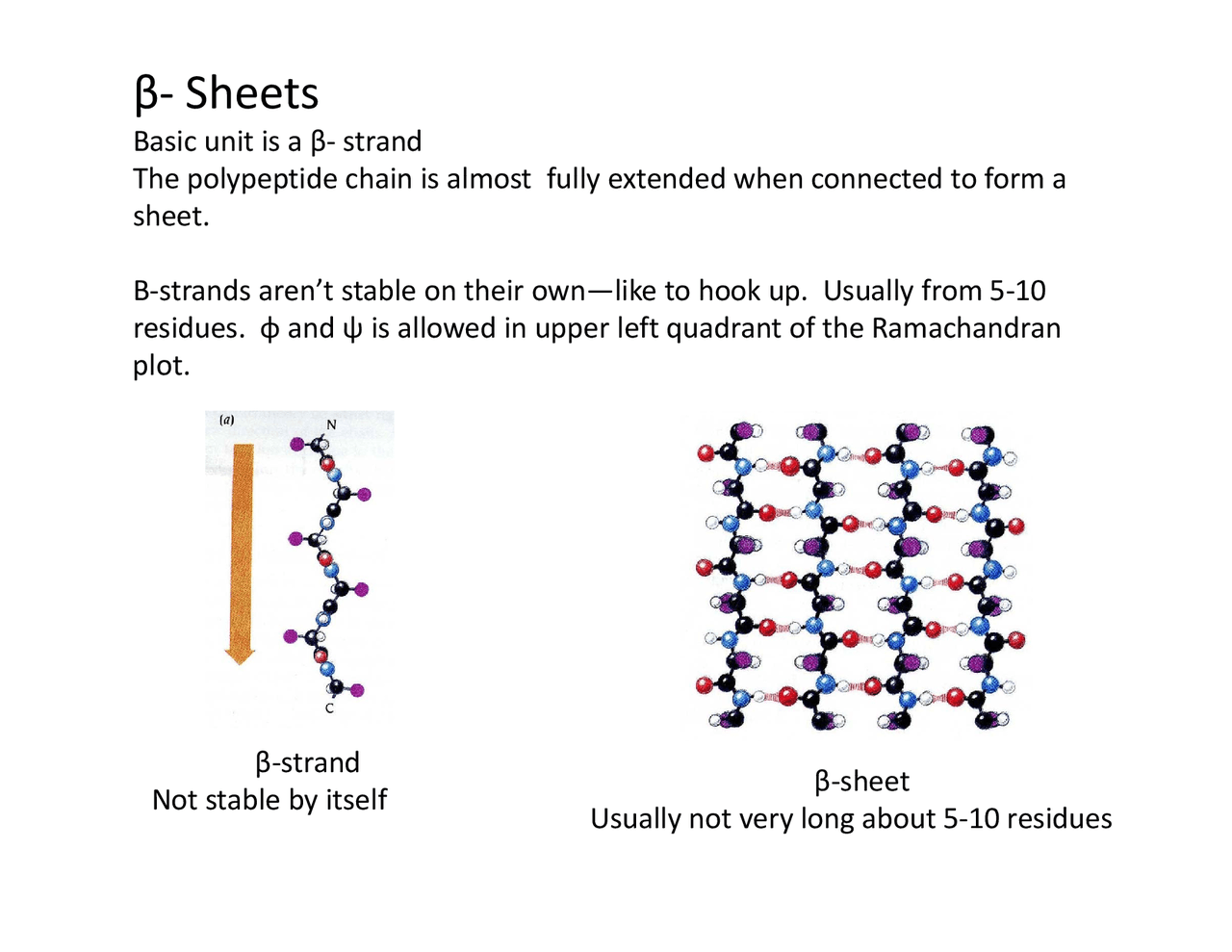 Anti Parallel B Sheet Macromolecular Structure Slides Bch 701