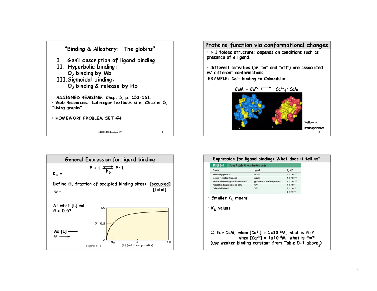 Understanding O2 Binding & Release in Globins: Myoglobin & Hemoglobin ...