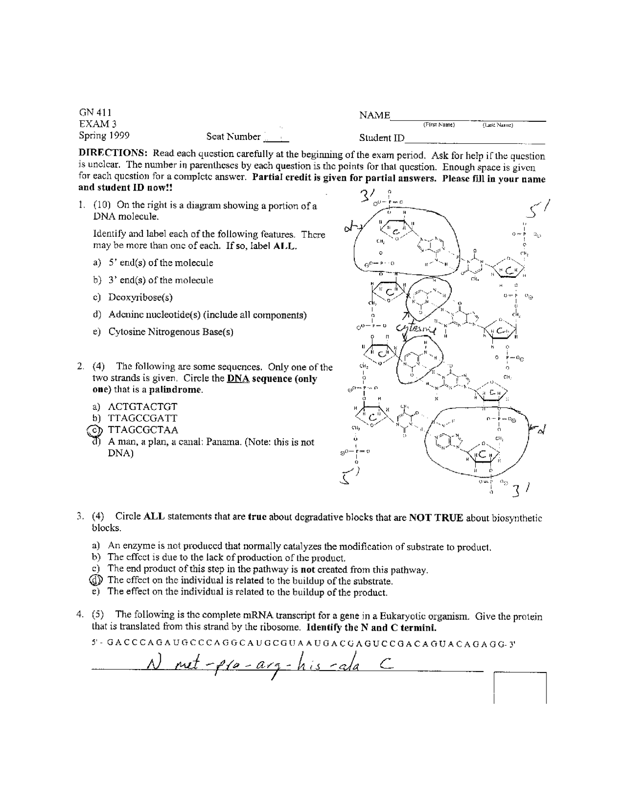 Exam 3 With Solution Principles Of Genetics Spring 1999 Gn 411
