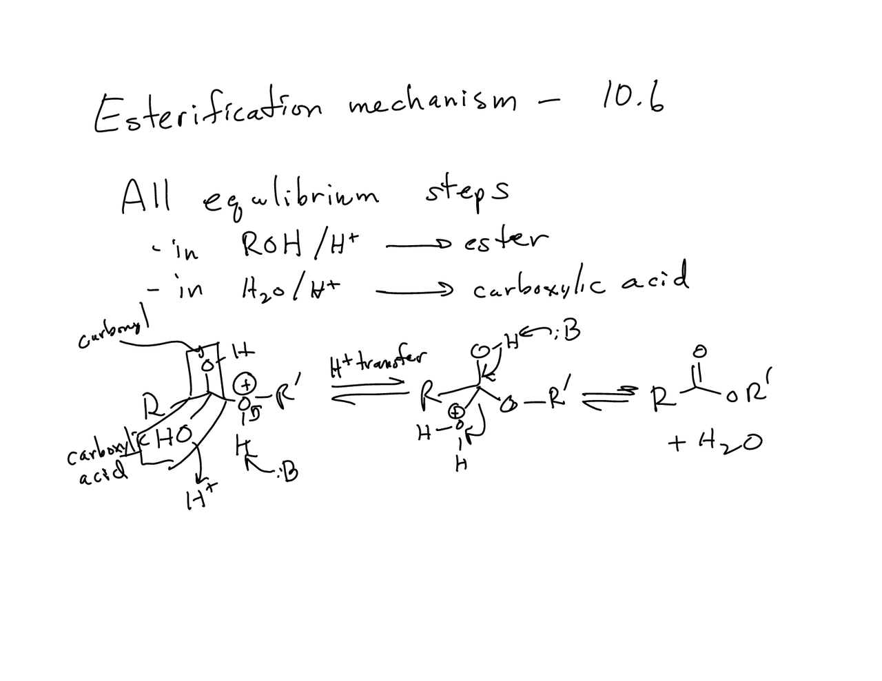Lecture Handout on Esterification Mechanism | CHEM 224 - Docsity