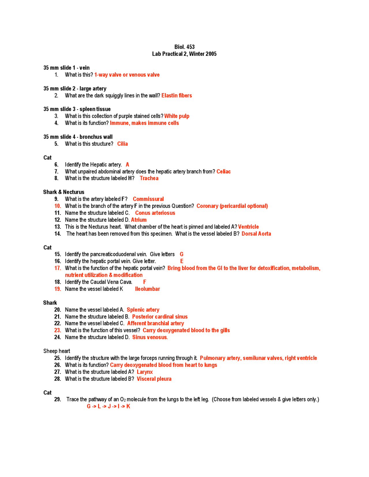 Solved Lab Questions Comparative Anatomy Of Vertebrates Biol 453