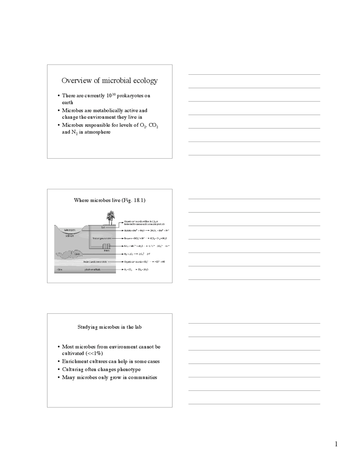 Overview Of Microbial Ecology Lecture Slides Mcb 3020 Docsity