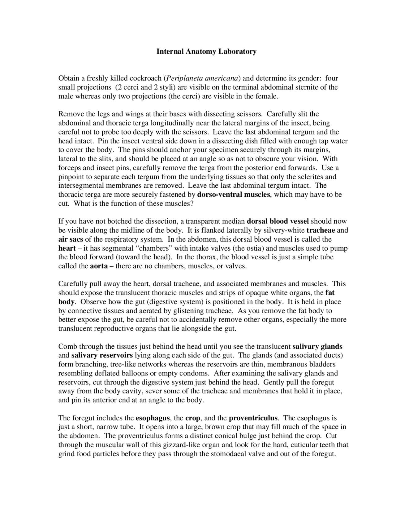 Notes on Internal Anatomy Lab - General Entomology | ENT 425 | Lab ...