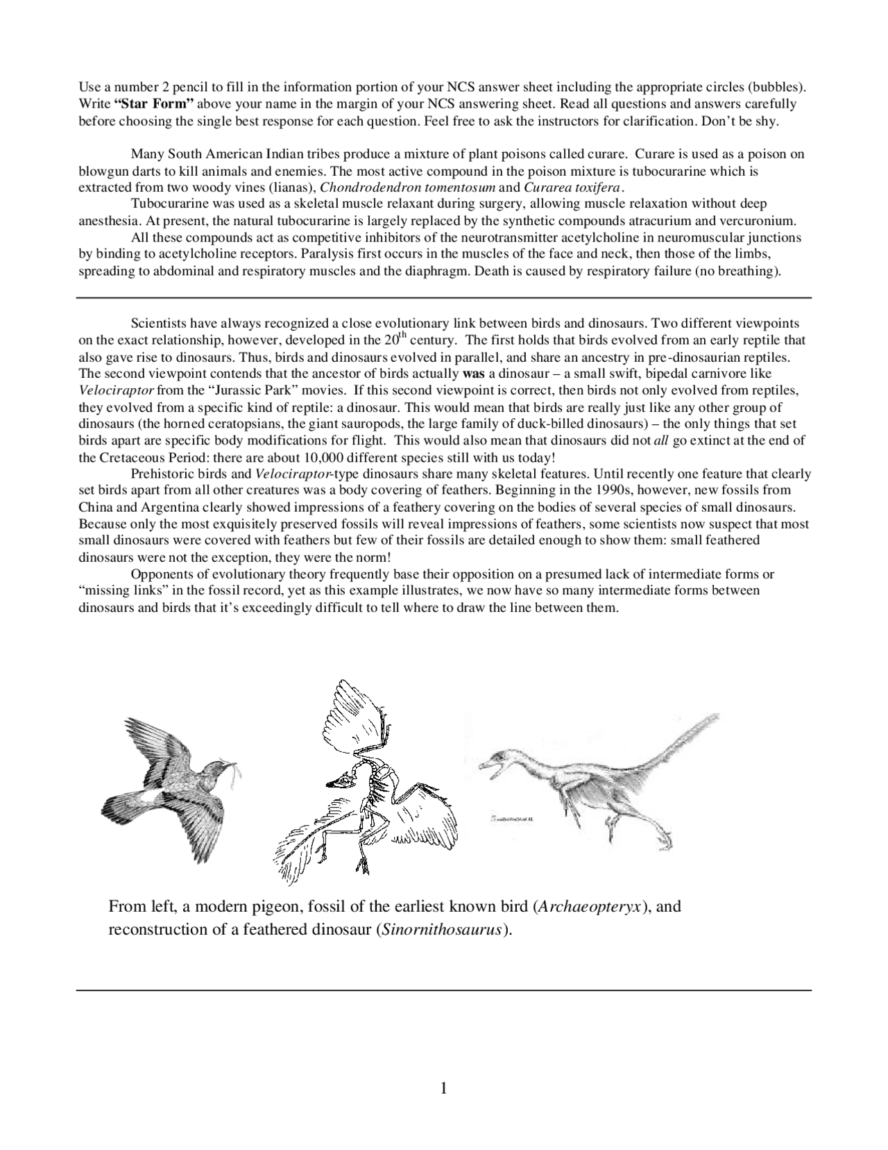 Introduction To Biology Exam Review Notes Biol 1114 Docsity