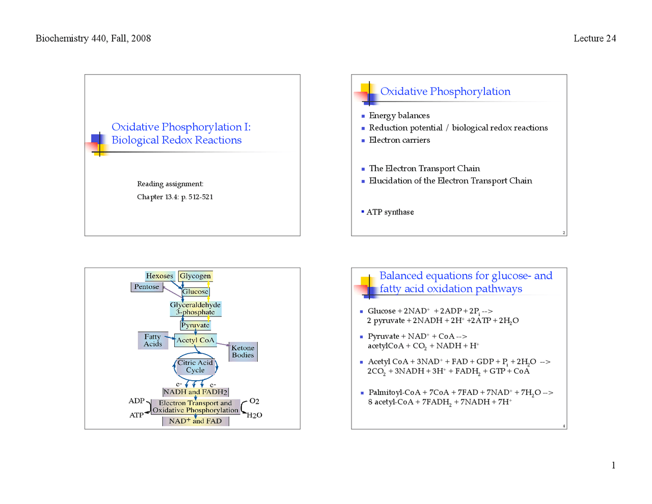 Slides On Oxidative Phosphorylation I Biological Redox Reactions